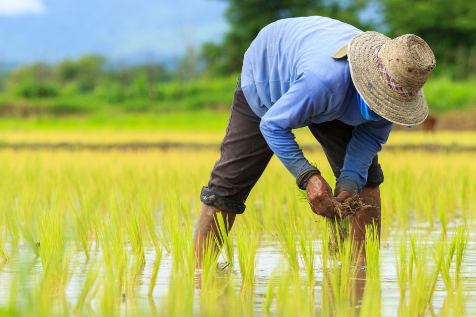 Transforming Africa's Water Systems Through Agronomy and Collaborations | Wikifarmer